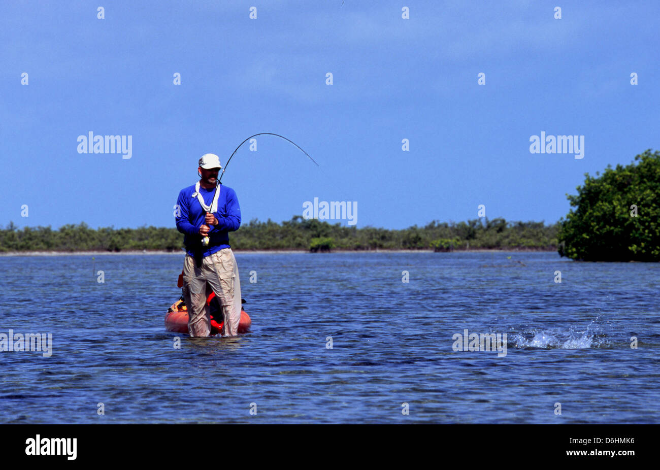 A fly fisherman fighting a bonefish (Albula vulpes) in Ascension Bay ...