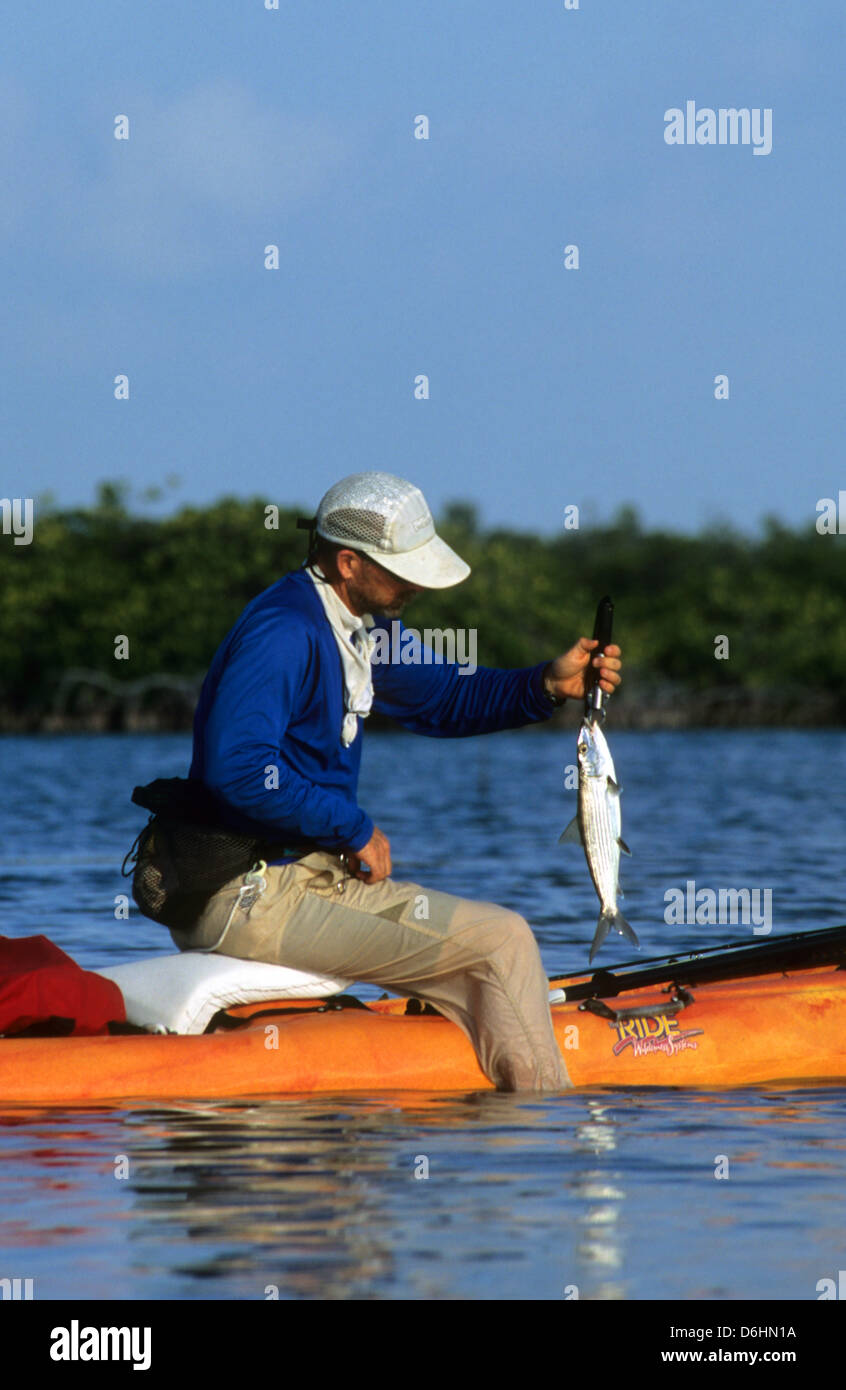 A fly fisherman weighing a bonefish (Albula vulpes) caught from a kayak ...