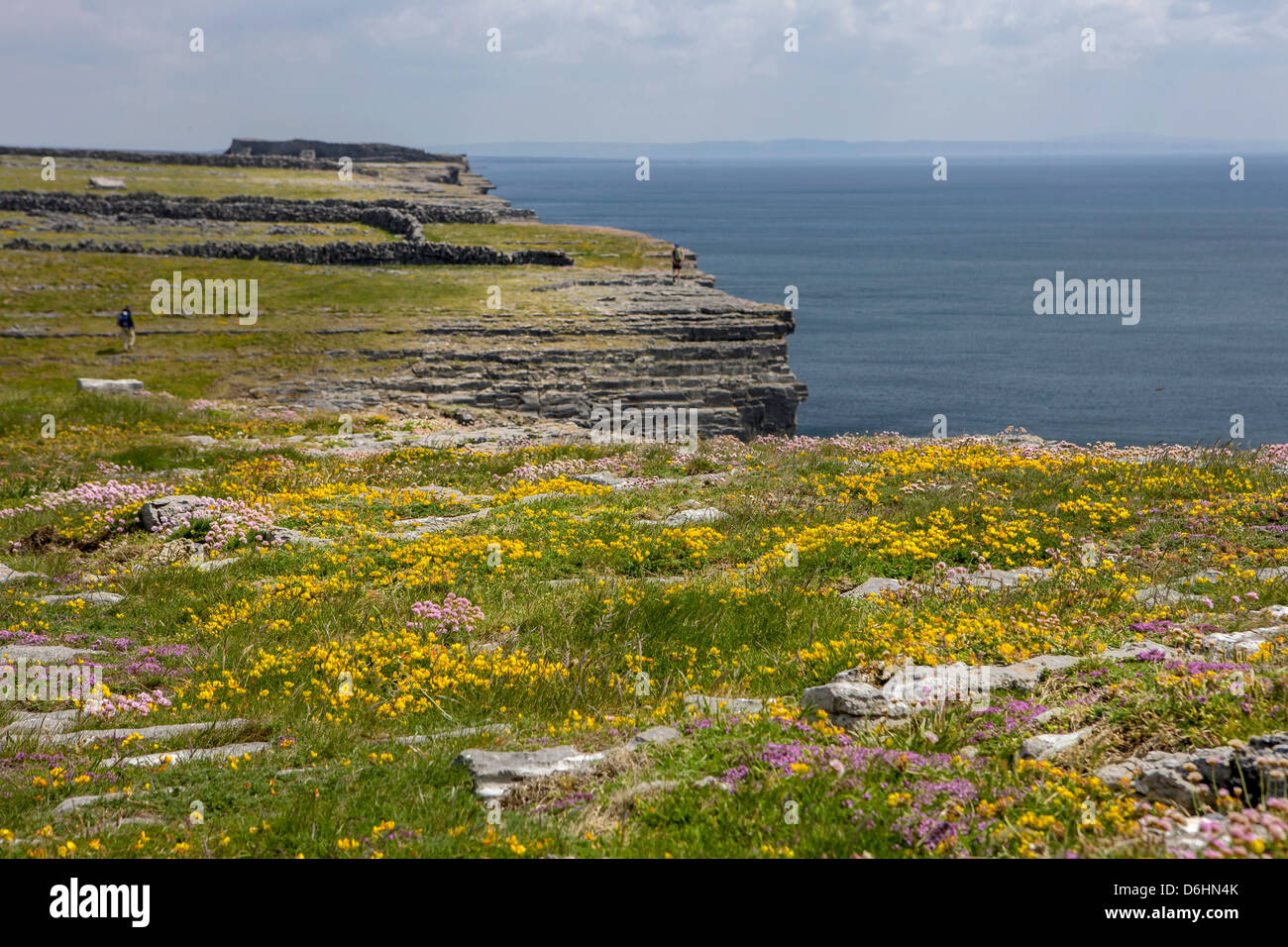 Inishmore Island. Aran Islands. Ireland. Limestone Sea Cliffs. Atlantic ...