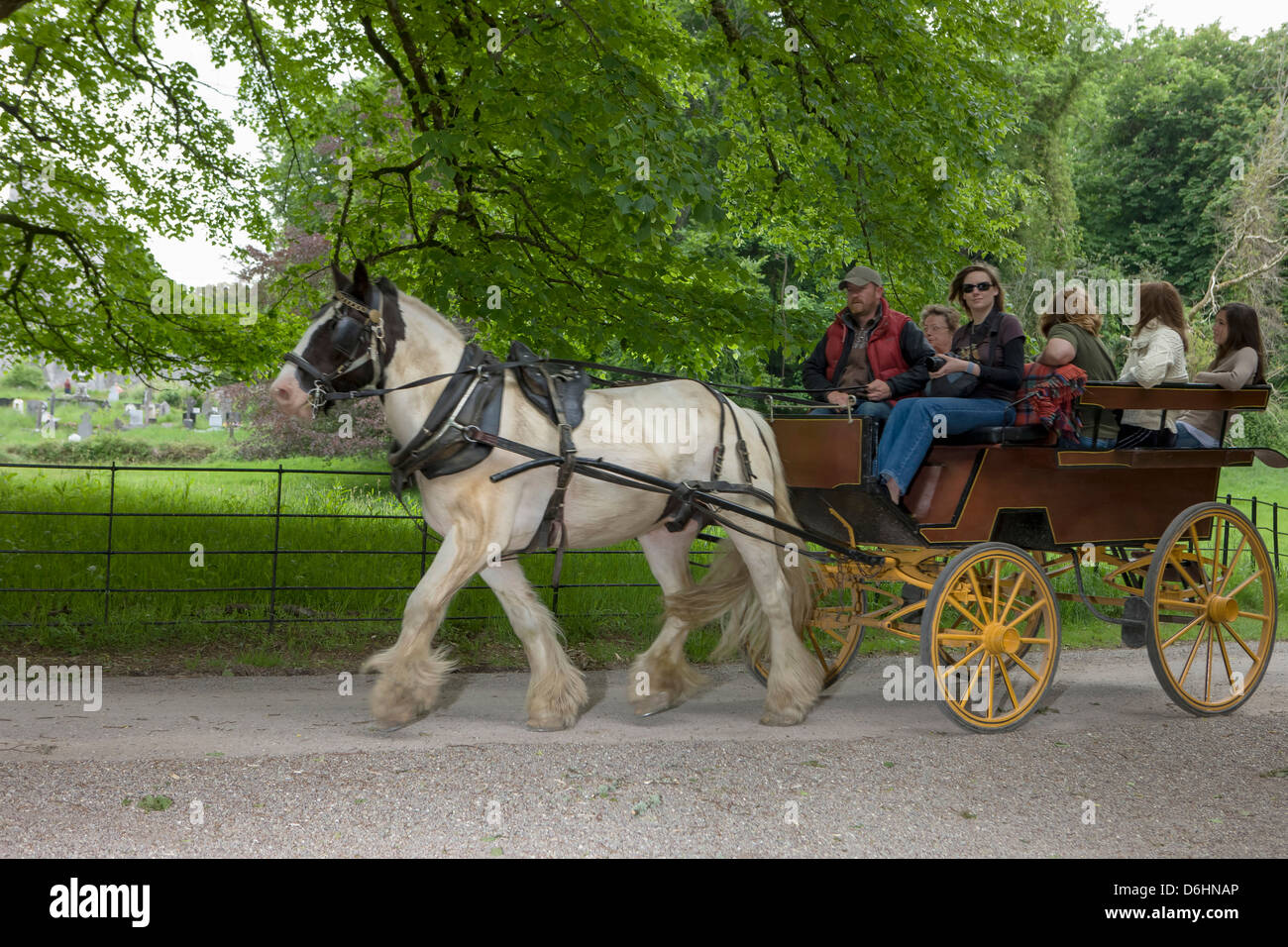 Horse and cart ireland hi-res stock photography and images - Alamy