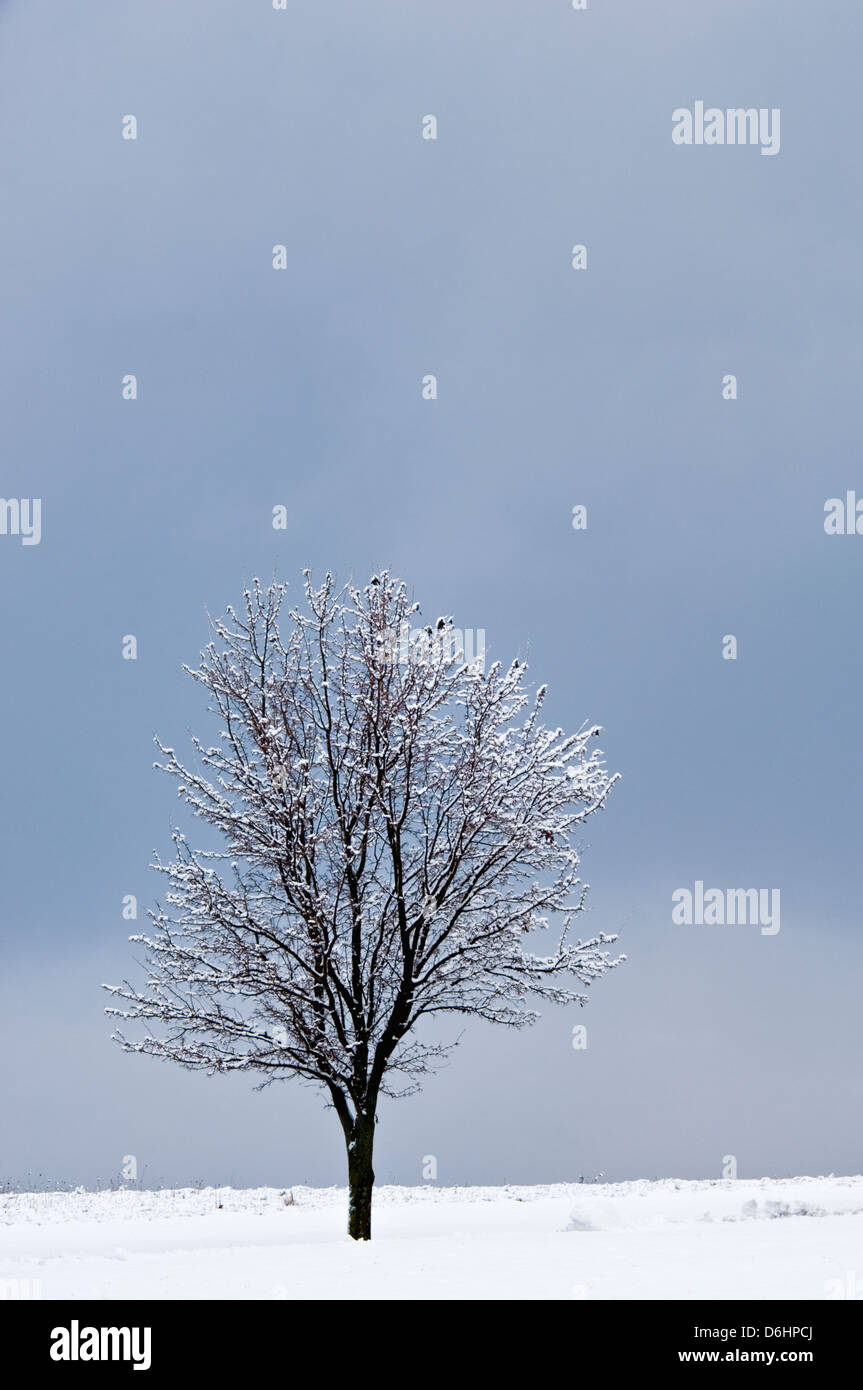 1 one single lone alone solitary hi-res stock photography and images ...
