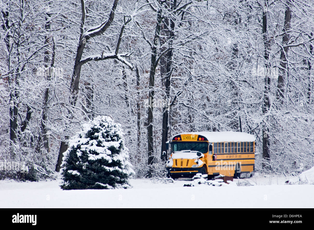 Parked School Bus High Resolution Stock Photography and Images - Alamy