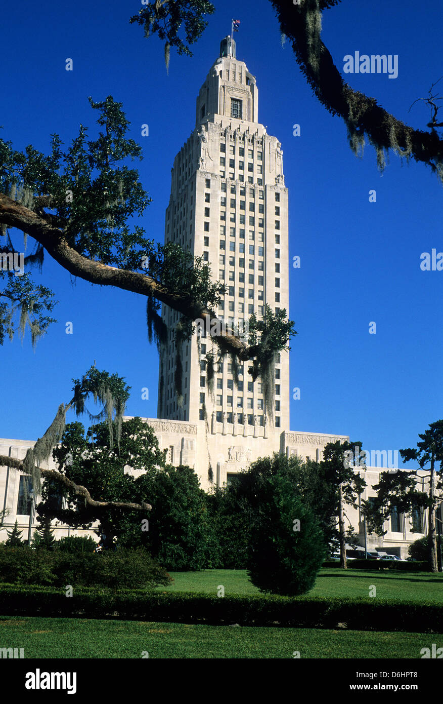Louisiana state tree hi-res stock photography and images - Alamy