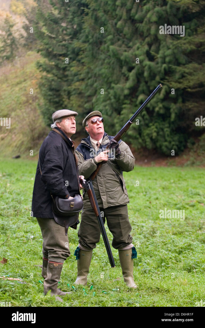 Alert Gunner and Loader during a Driven Pheasant Shoot in Yorkshire ...