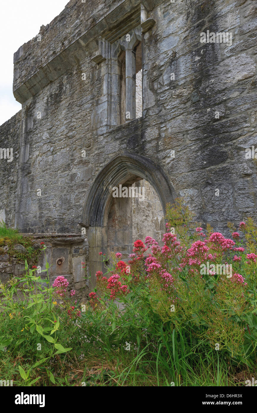 Killarney National Park, County Kerry, Ireland. Muckross Friary. UNESCO ...