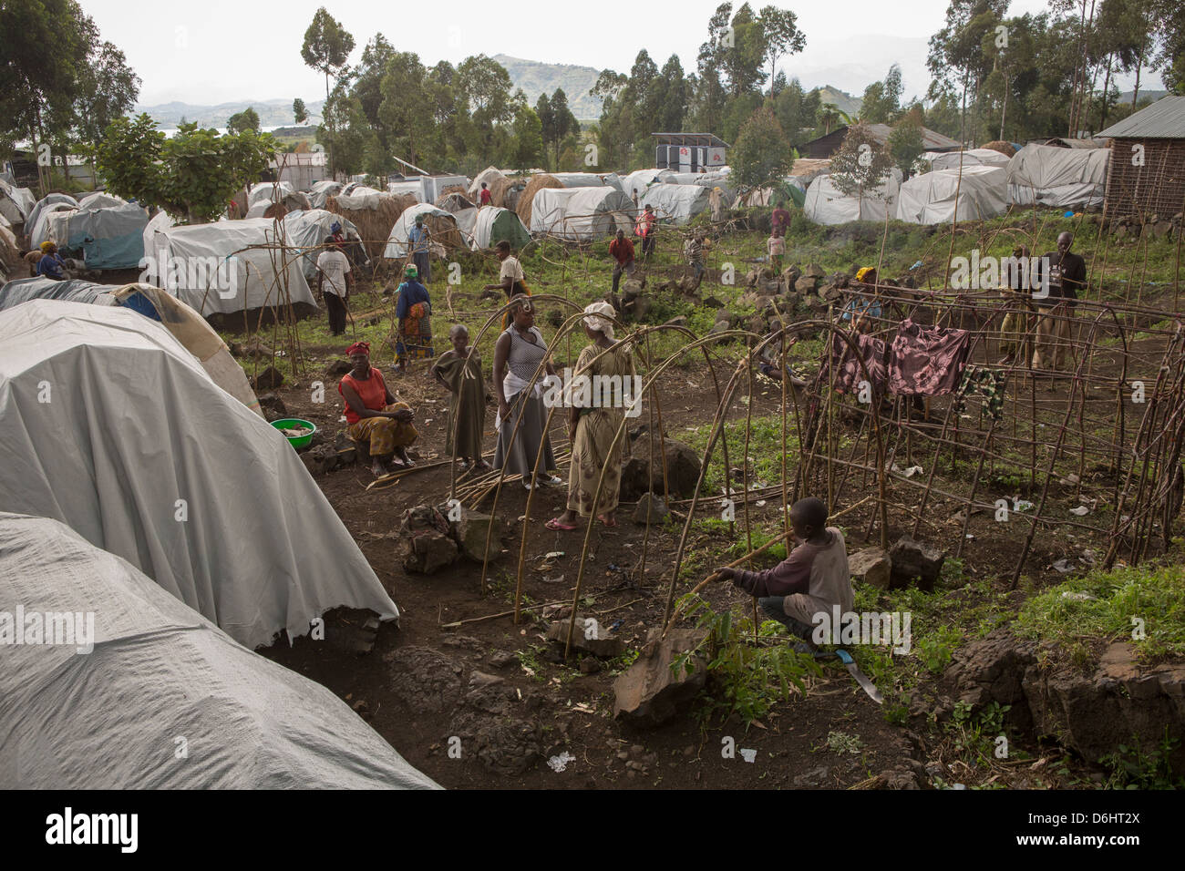Recently arrived IDP's set up shelter in Lac Vert Camp near Goma, DRC ...