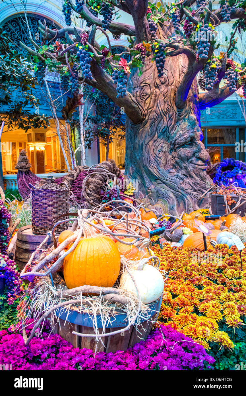 Fall season in Bellagio Hotel Conservatory & Botanical Gardens in Las ...