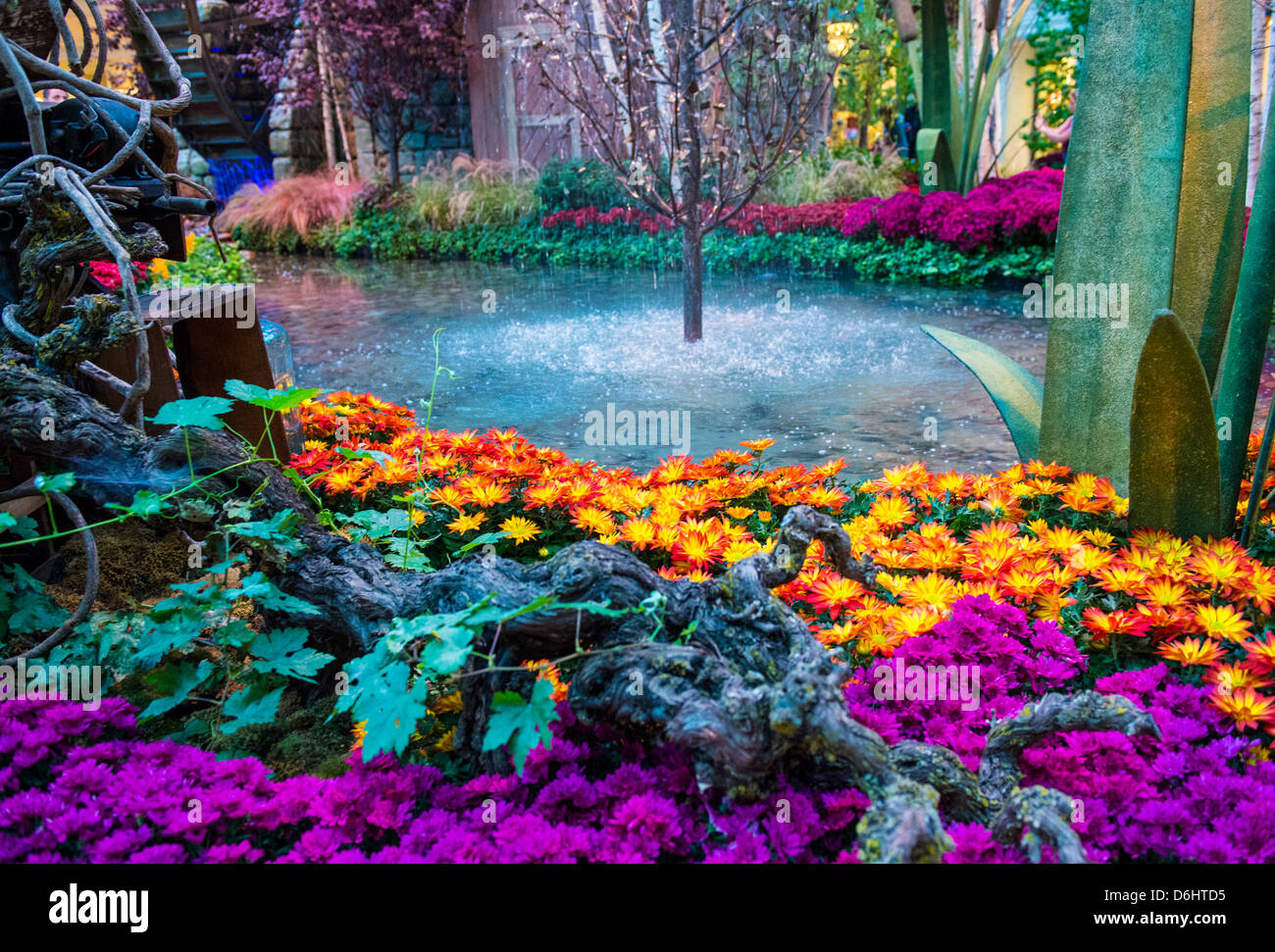 Fall season in Bellagio Hotel Conservatory & Botanical Gardens in Las ...