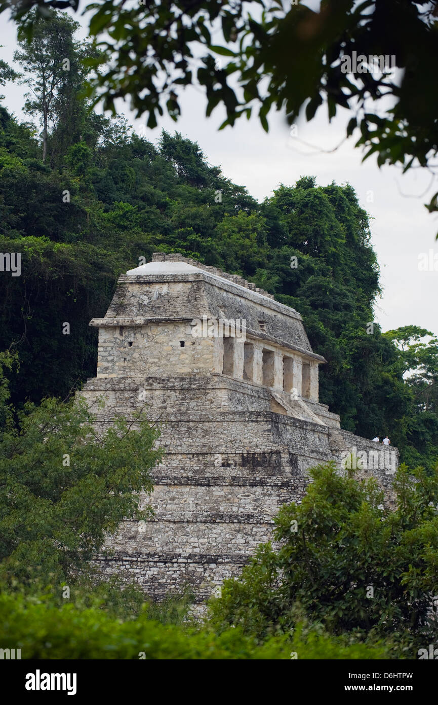 Palenque Mayan ruins, Chiapas state, Mexico, North America Stock Photo ...