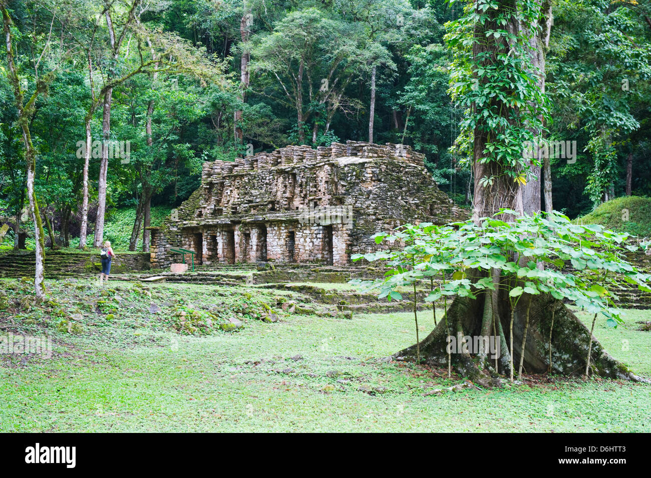 Yaxchilan Mayan ruins, Chiapas state, Mexico, North America Stock Photo ...