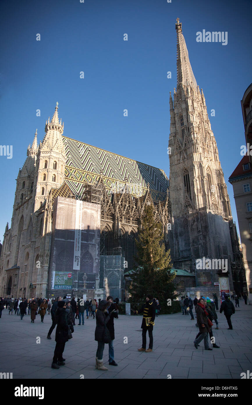 St Stephen's Cathedral Vienna Stock Photo - Alamy