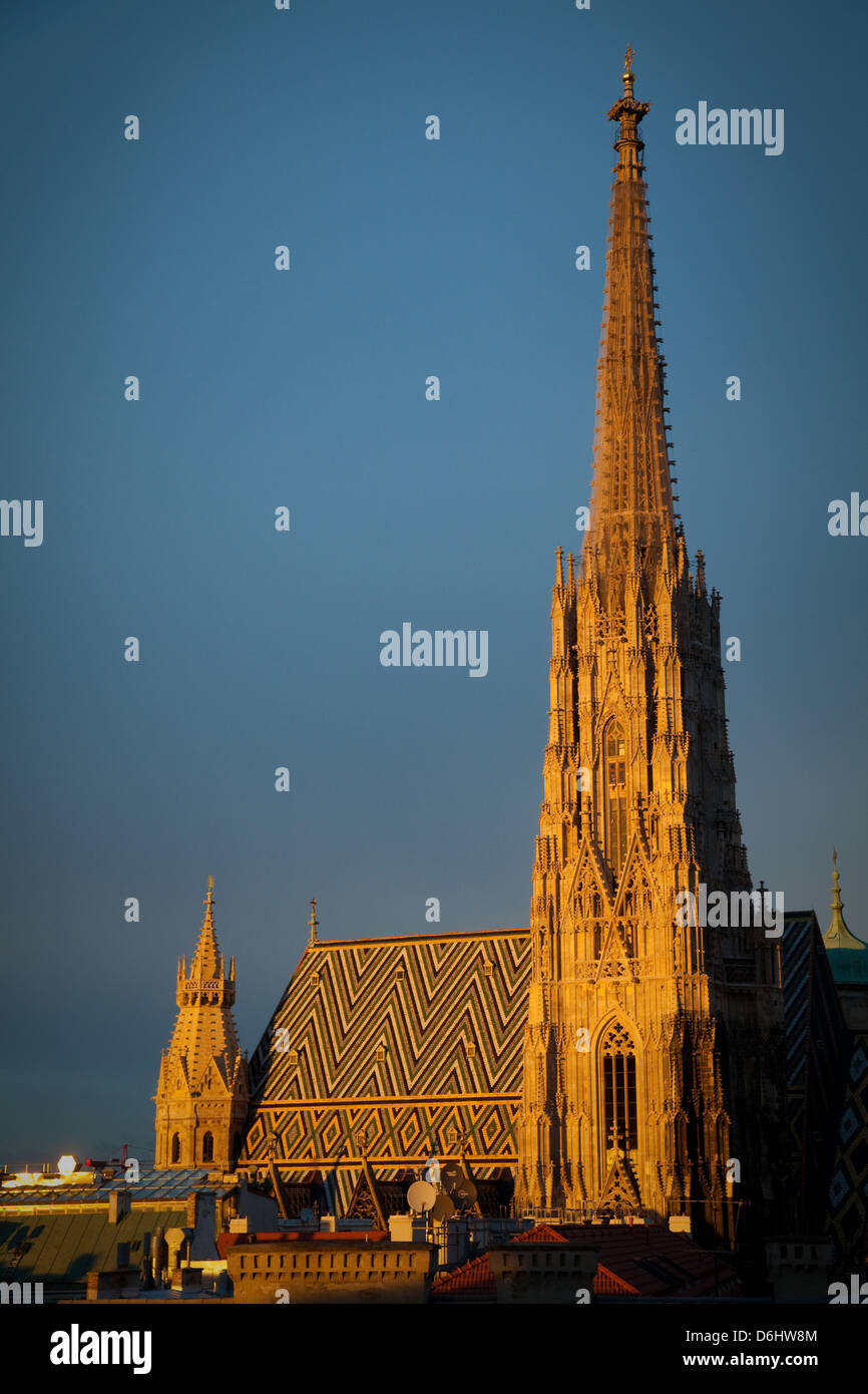 St Stephen's Cathedral Vienna Stock Photo - Alamy