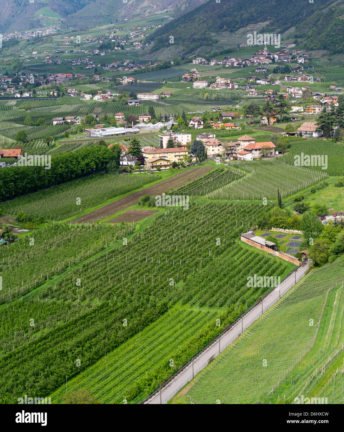 Village of Algund (lagundo) in the valley of river Etsch surrounded by ...