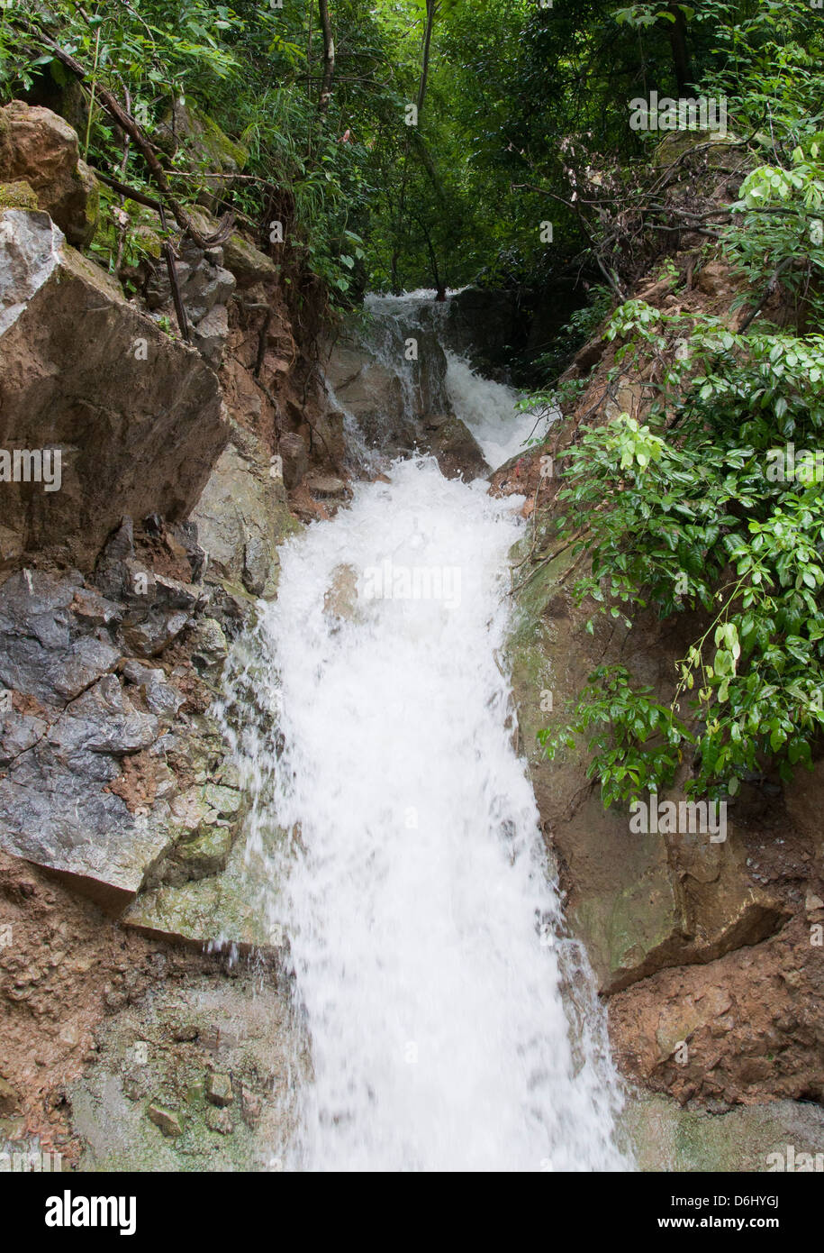 Jungle stream background hi-res stock photography and images - Alamy