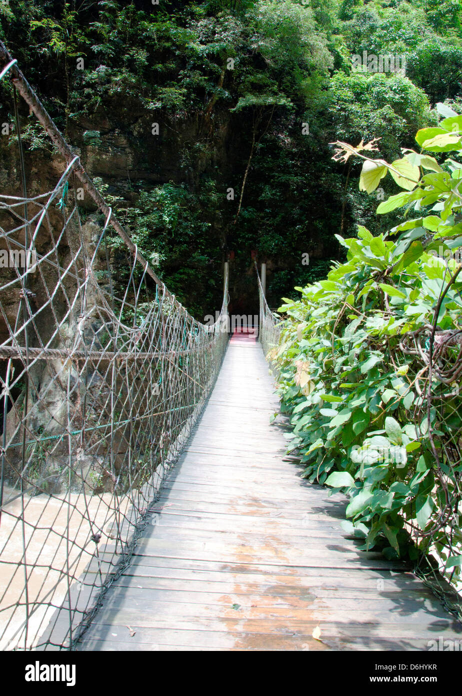 rope bridge on canyon river Stock Photo - Alamy