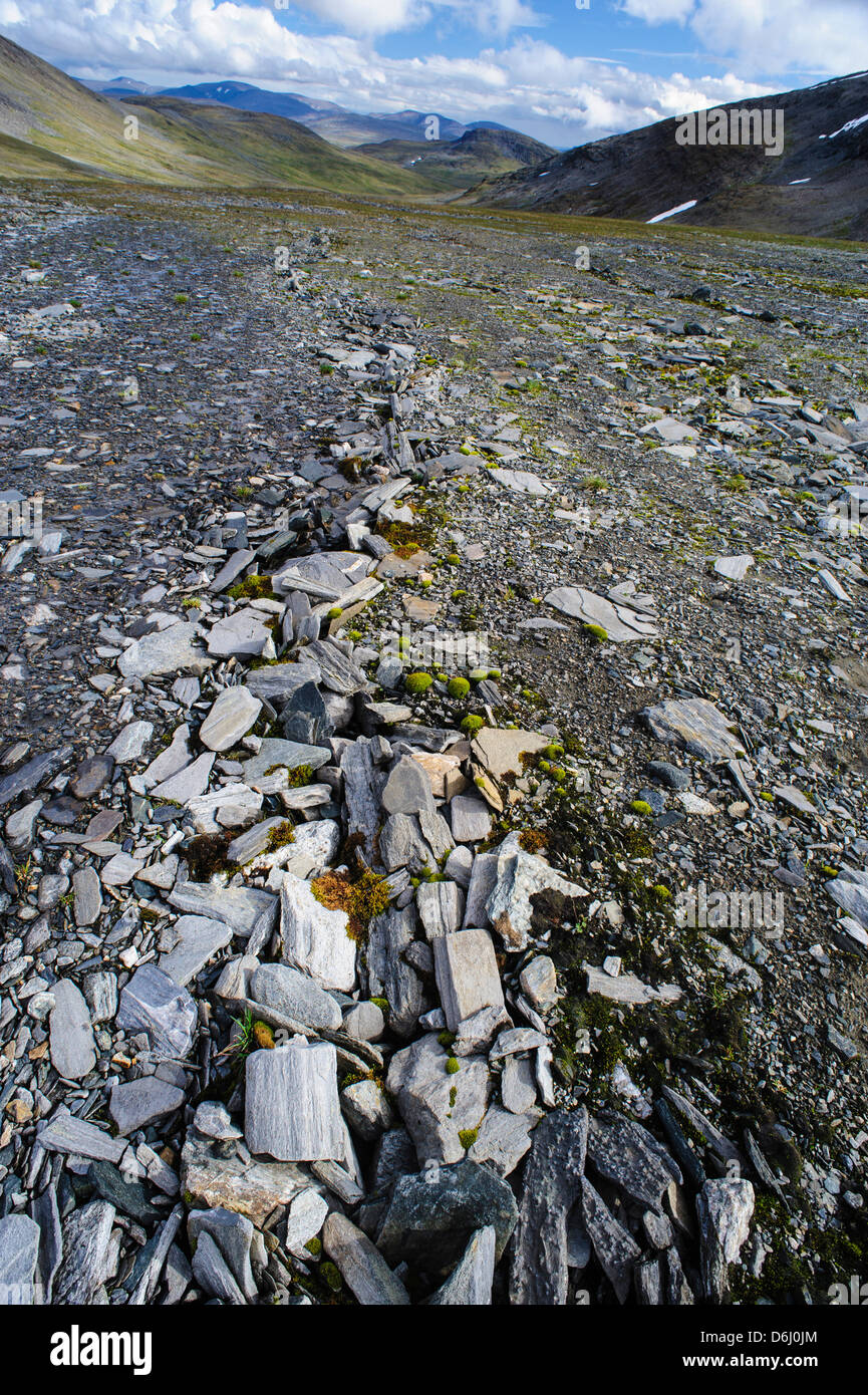 Norway, Troms. Stone stripes a permafrost geology feature Stock Photo ...