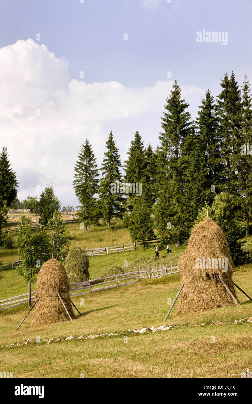 Karst romania hi-res stock photography and images - Alamy