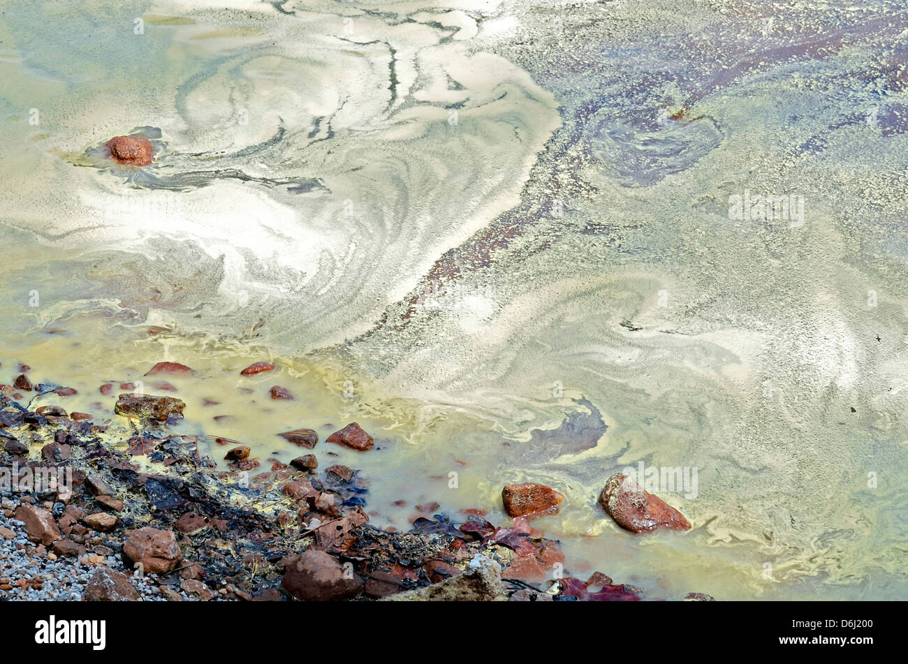Pollen on the water at the shoreline Stock Photo - Alamy