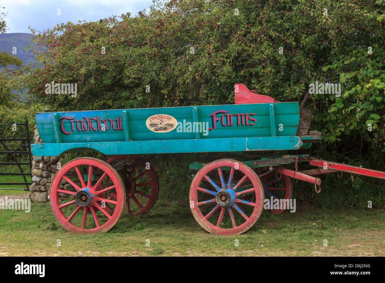 Killarney National Park, County Kerry, Ireland. Muckross Traditional ...