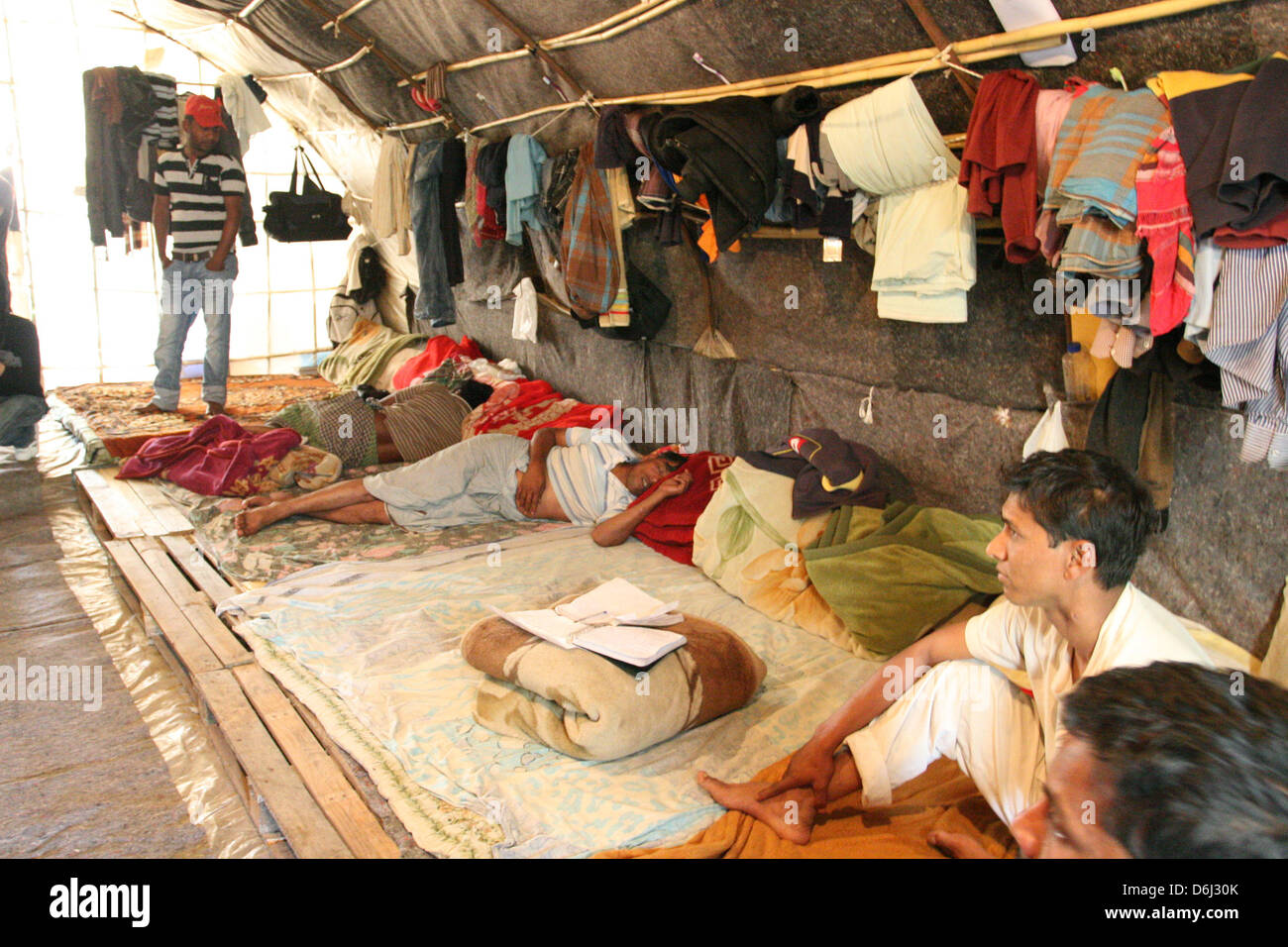 Seasonal harvesters sleep in a barrack near a strawberry field in ...