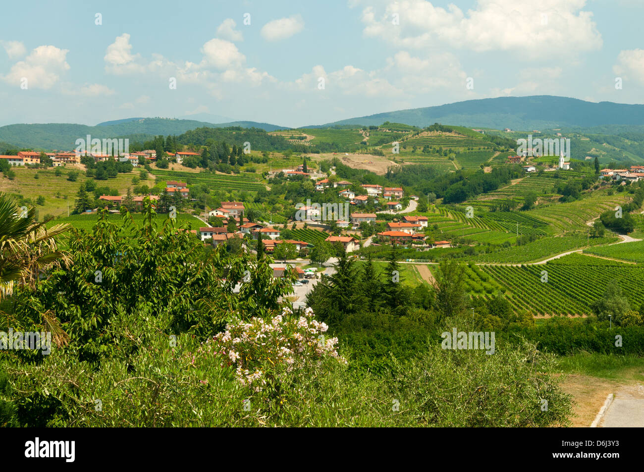 Brda slovenia and vineyards hi-res stock photography and images - Alamy