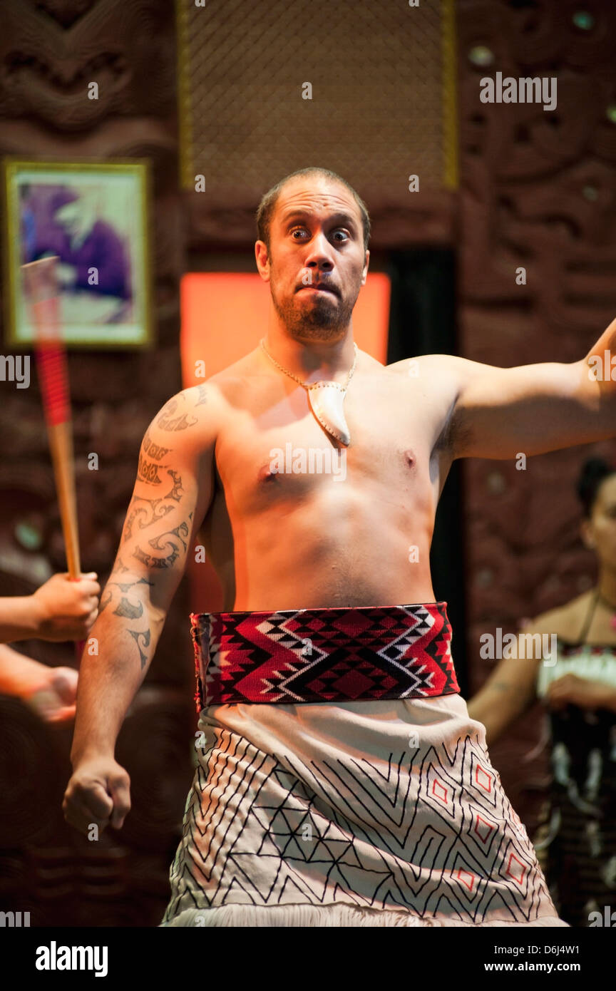 Maori man performing the Haka at Te Puia Moari Village, Rotorua, North ...