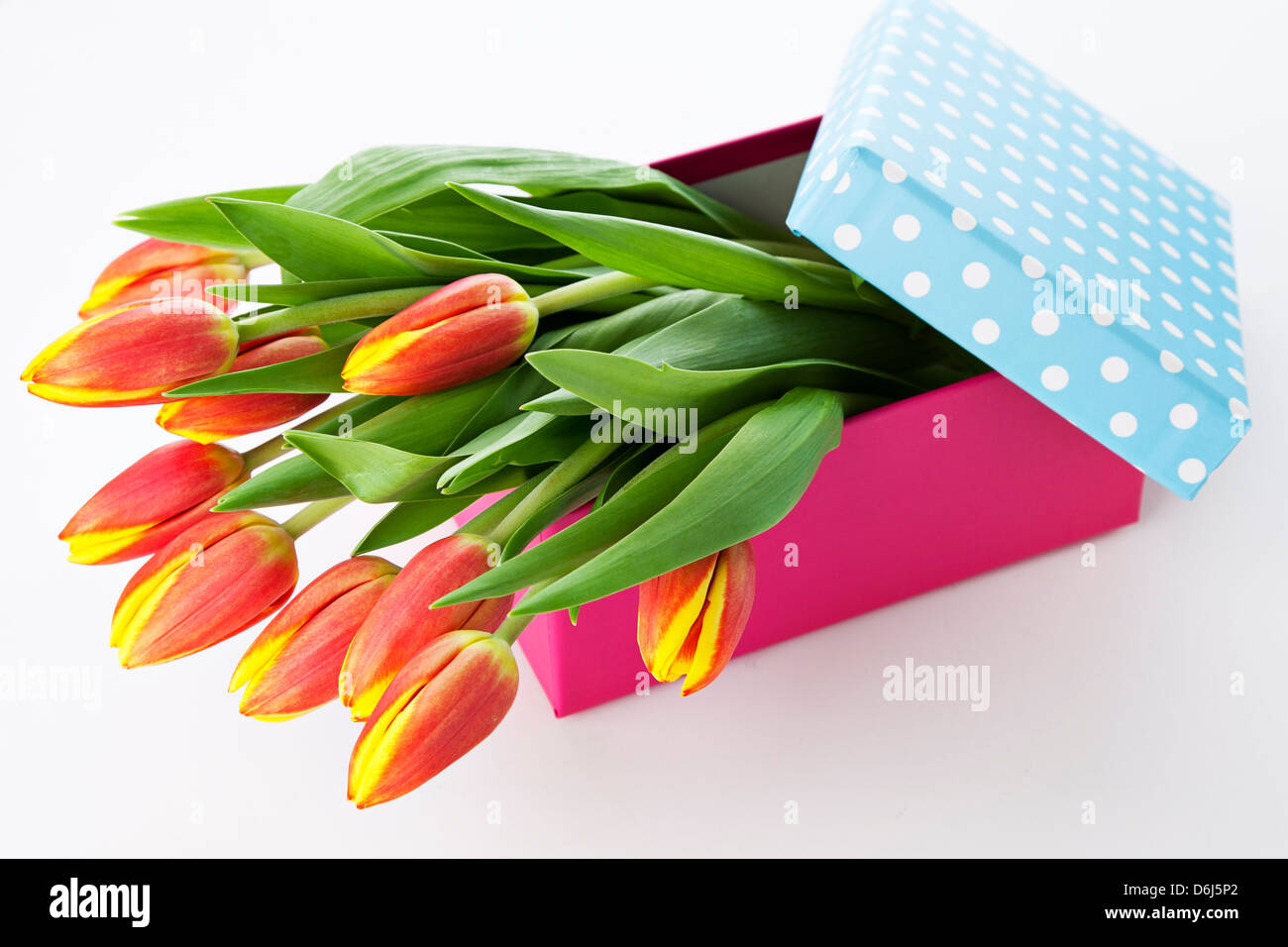 Present flowers hi-res stock photography and images - Alamy