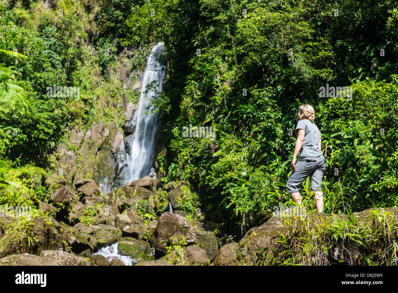 Morne trois pitons dominica hi-res stock photography and images - Alamy
