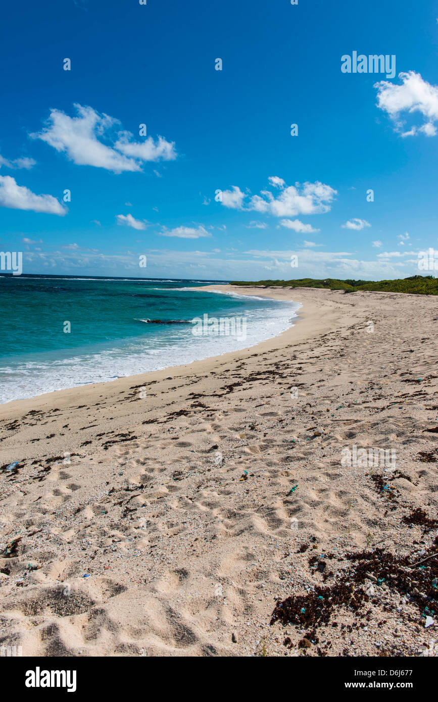 Remote white sand beach in Barbuda, Antigua and Barbuda, West Indies ...