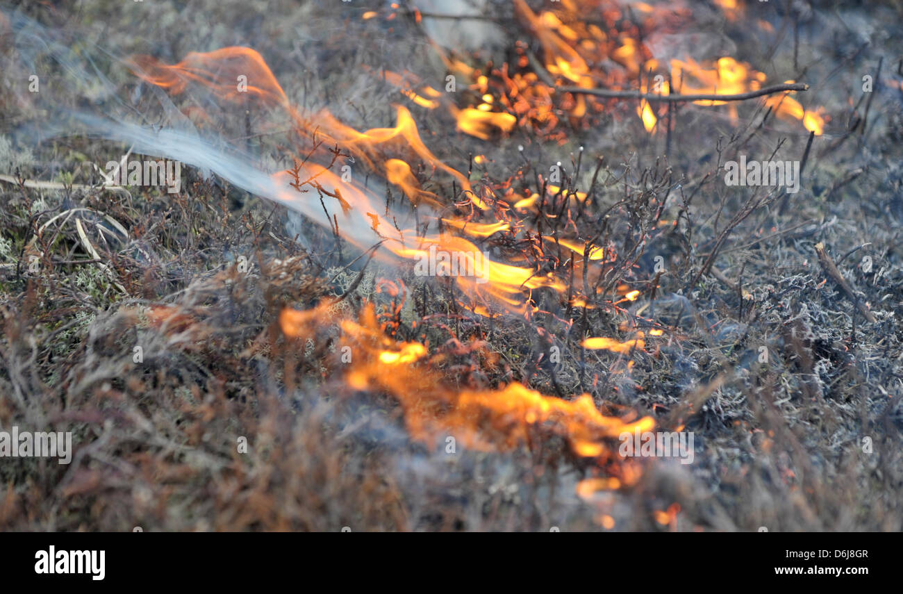 The heath burns in Schwindebecker, Germany, 07 March 2012. Employees of ...