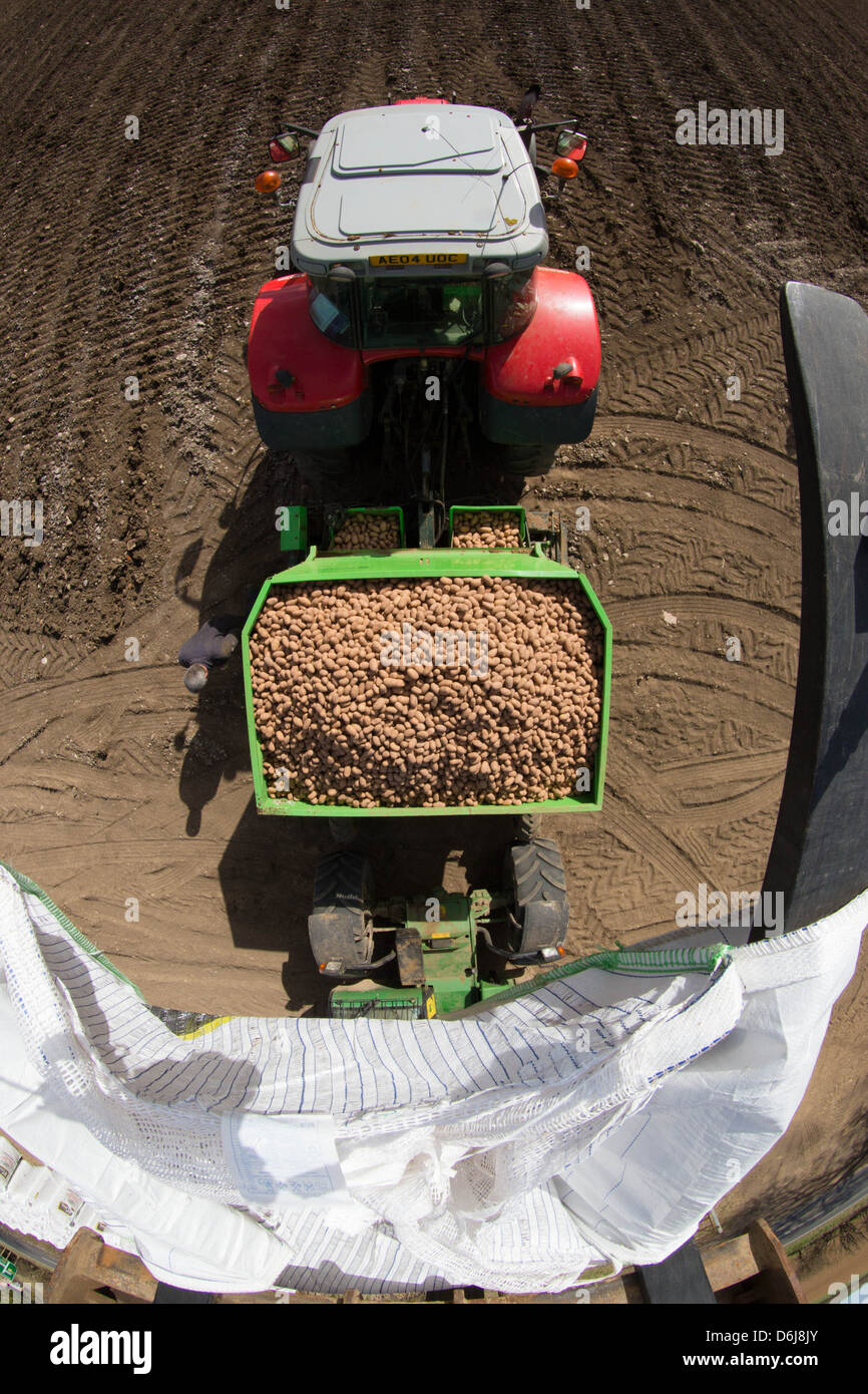 Planter bag hi-res stock photography and images - Alamy