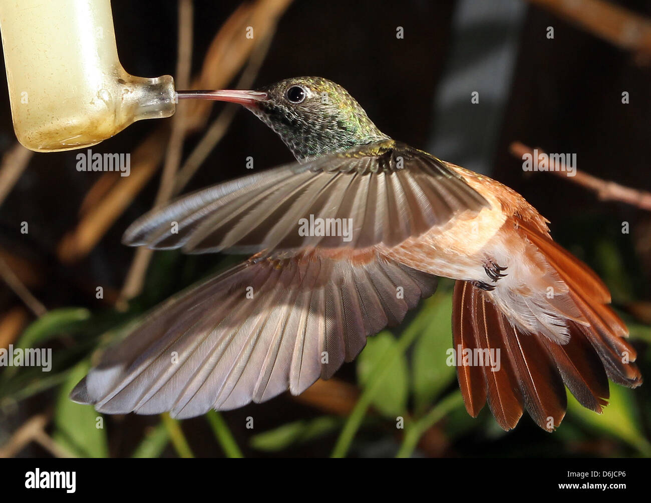 (FILE - HANDOUT) An archive handout dated 07 February 2012 shows an ...