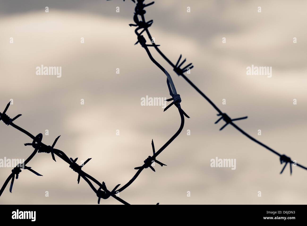 Barbed wire against moody sky. Toned shot, closeup Stock Photo - Alamy