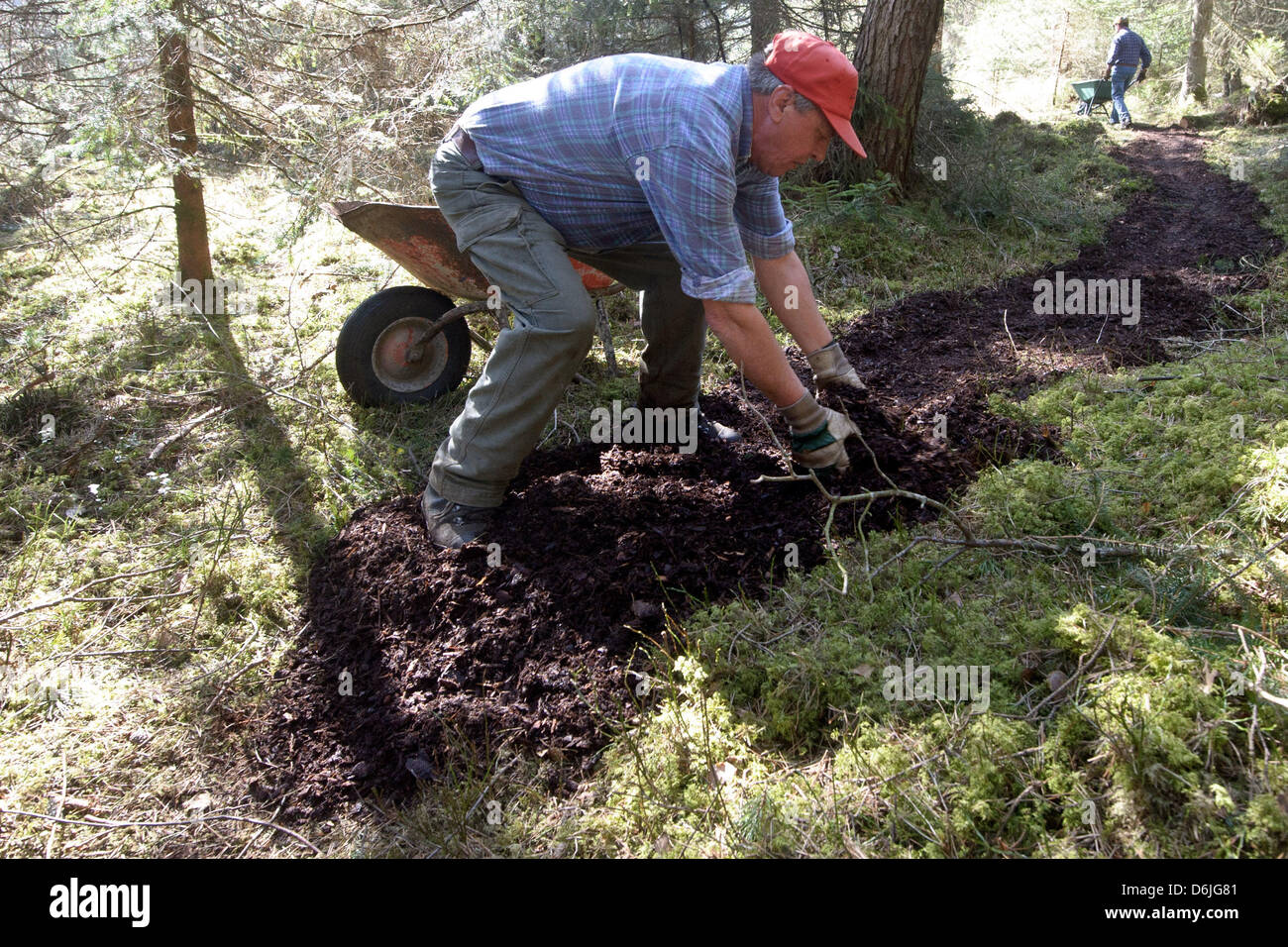 A forestry worker spreads bark mulch to create a path near Ostrach ...