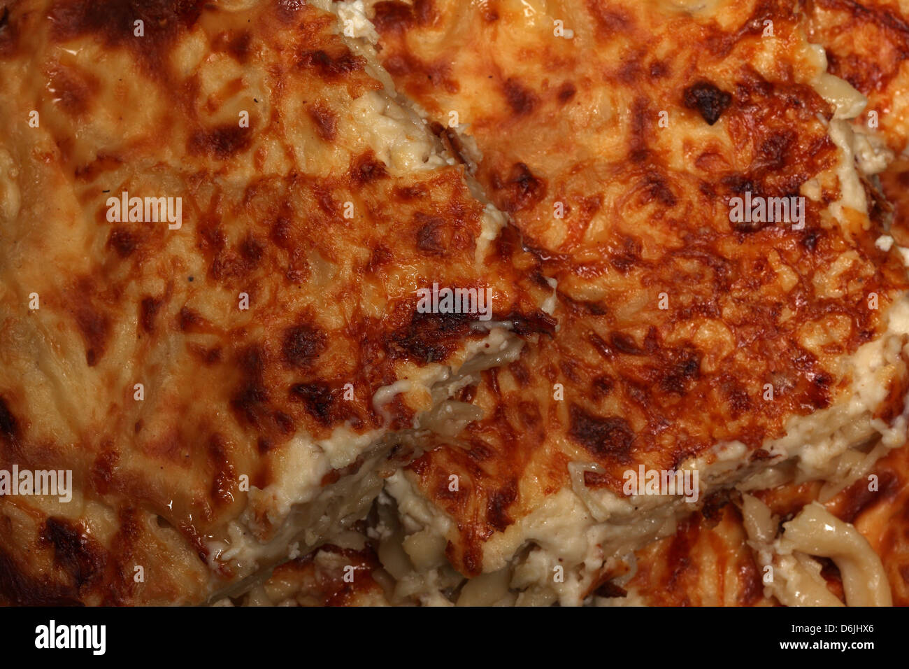 pasticcio,pasta with greek cheese,traditional food Stock Photo - Alamy