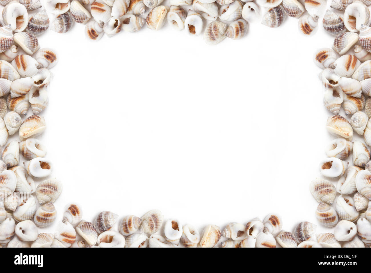 Mix three kind of sea shells Stock Photo - Alamy
