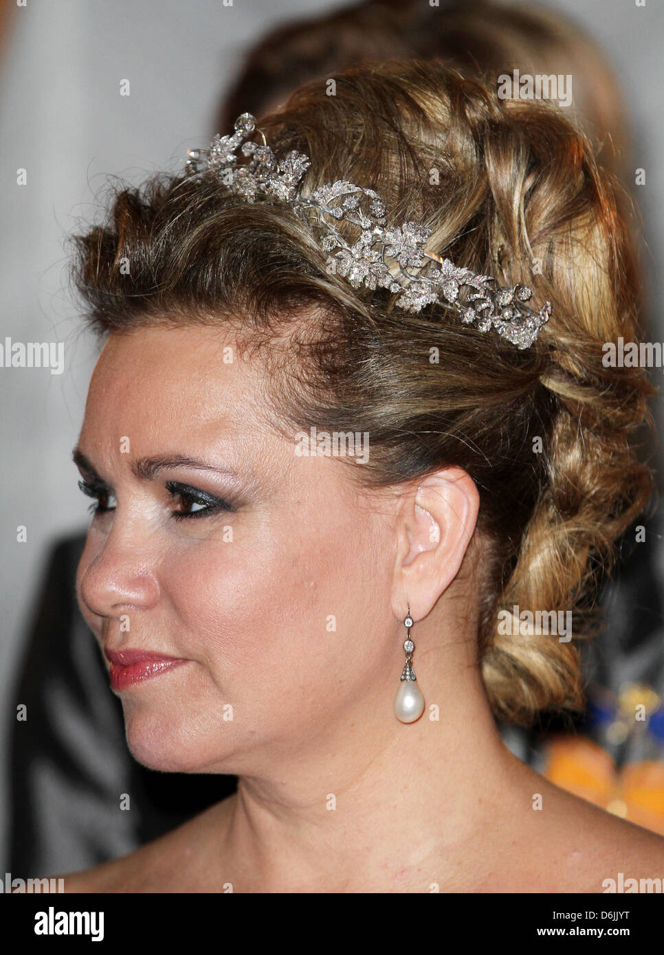 Maria Teresa, Grand Duchess of Luxembourg poses for official pictures ...