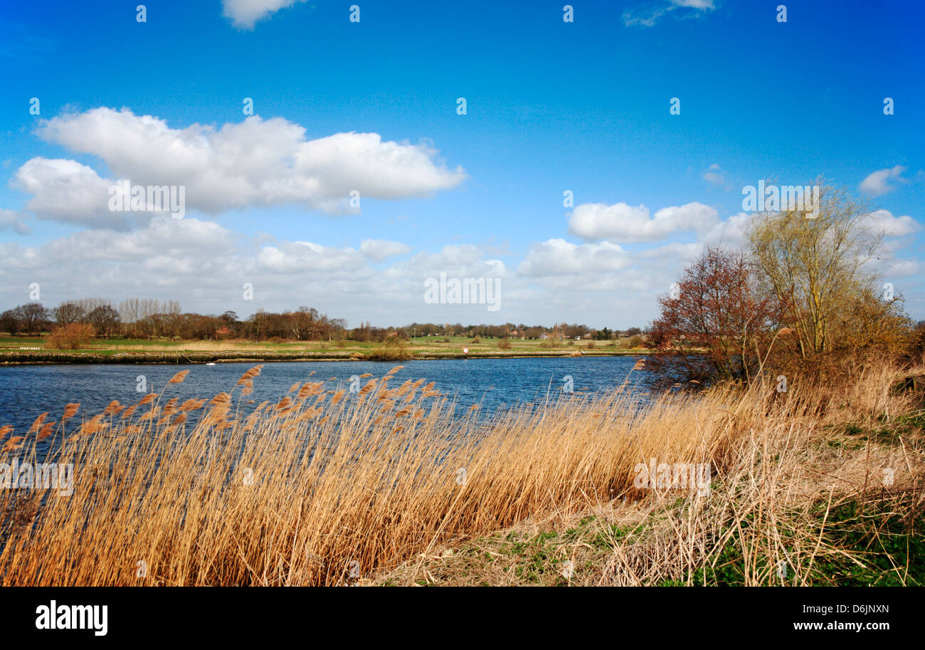 A view of the River Yare on the Norfolk Broads at Surlingham, Norfolk ...