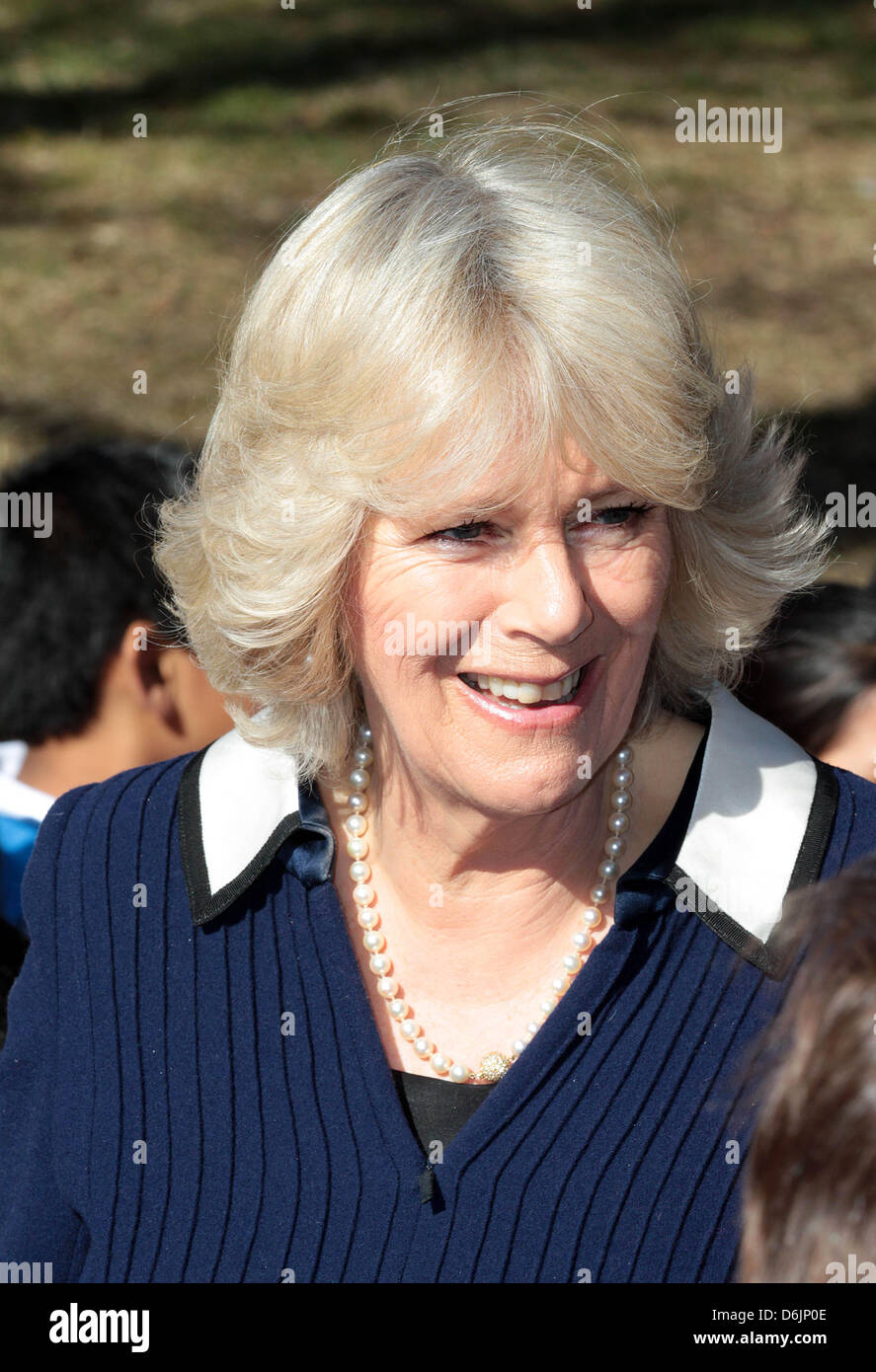 Britain's Camilla, Duchess of Cornwall, arrives to the British ...