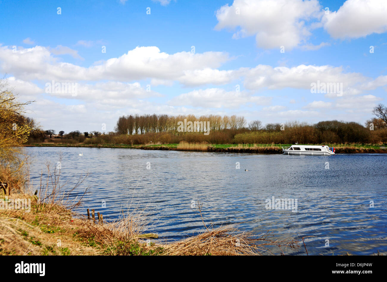 A view of a cruiser on the River Yare on the Norfolk Broads at ...