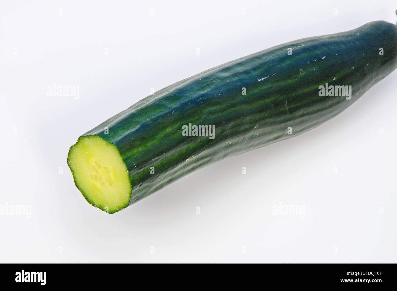 Cucumber with end cut off against a white background Stock Photo - Alamy