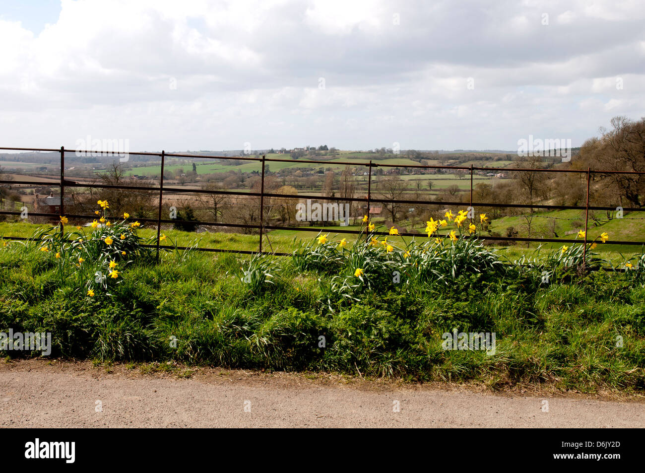 Roadside daffodils hi-res stock photography and images - Alamy