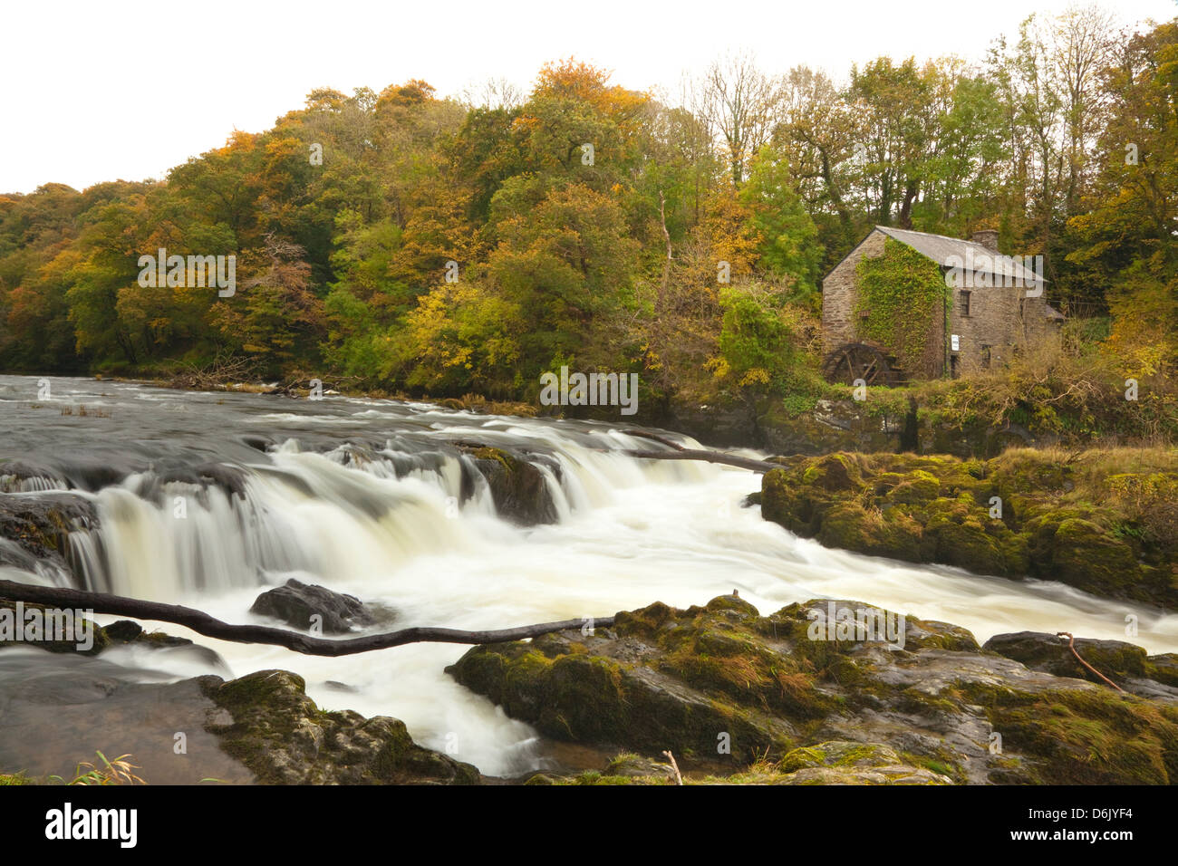 Cenarth Waterfalls, Carmarthenshire, Wales, United Kingdom, Europe ...