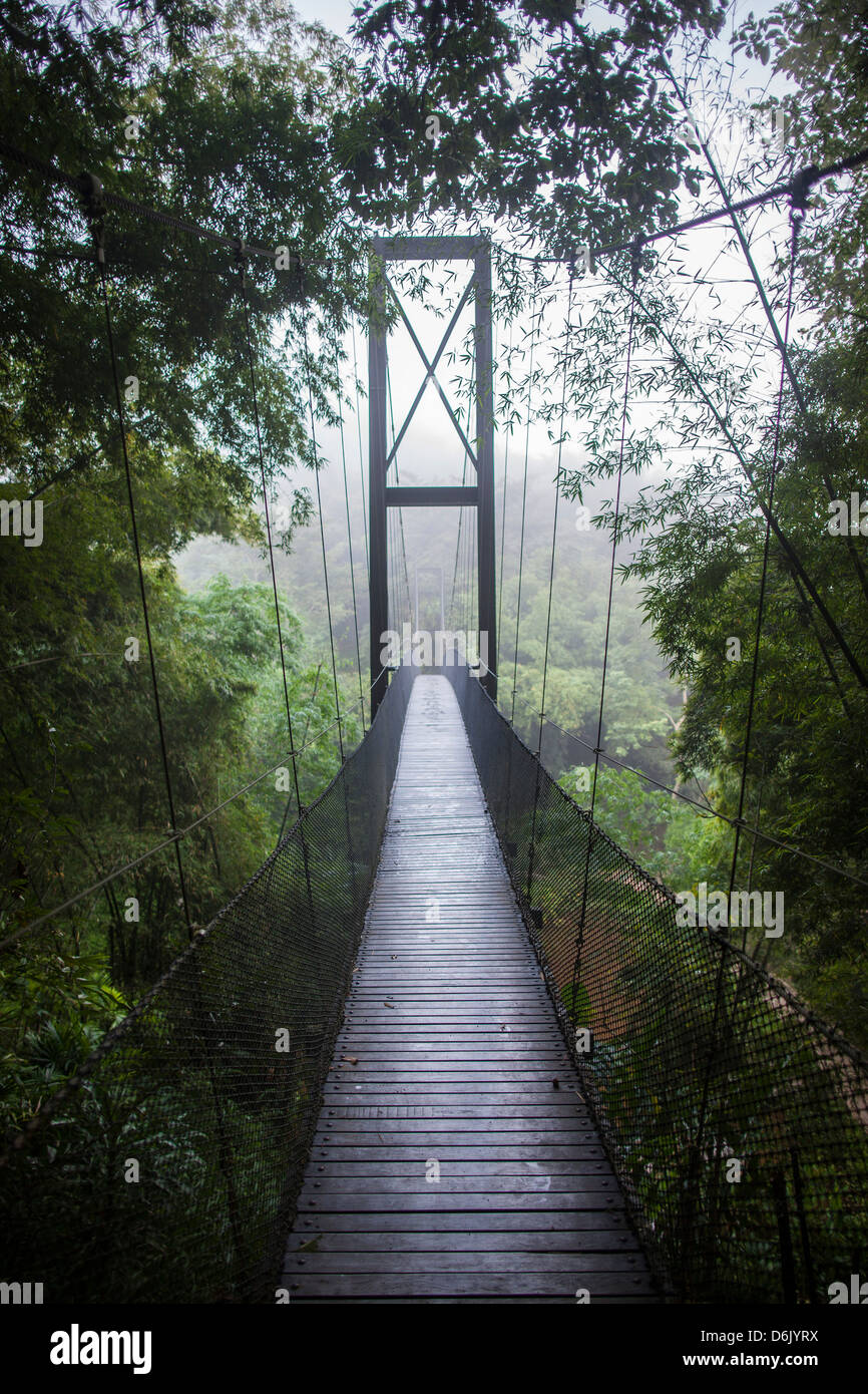 Golden bridge way hi-res stock photography and images - Alamy