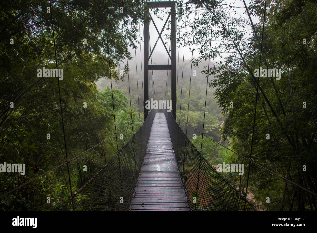 Rope Bridge, Golden Triangle, Northern Thailand, Thailand, Southeast ...