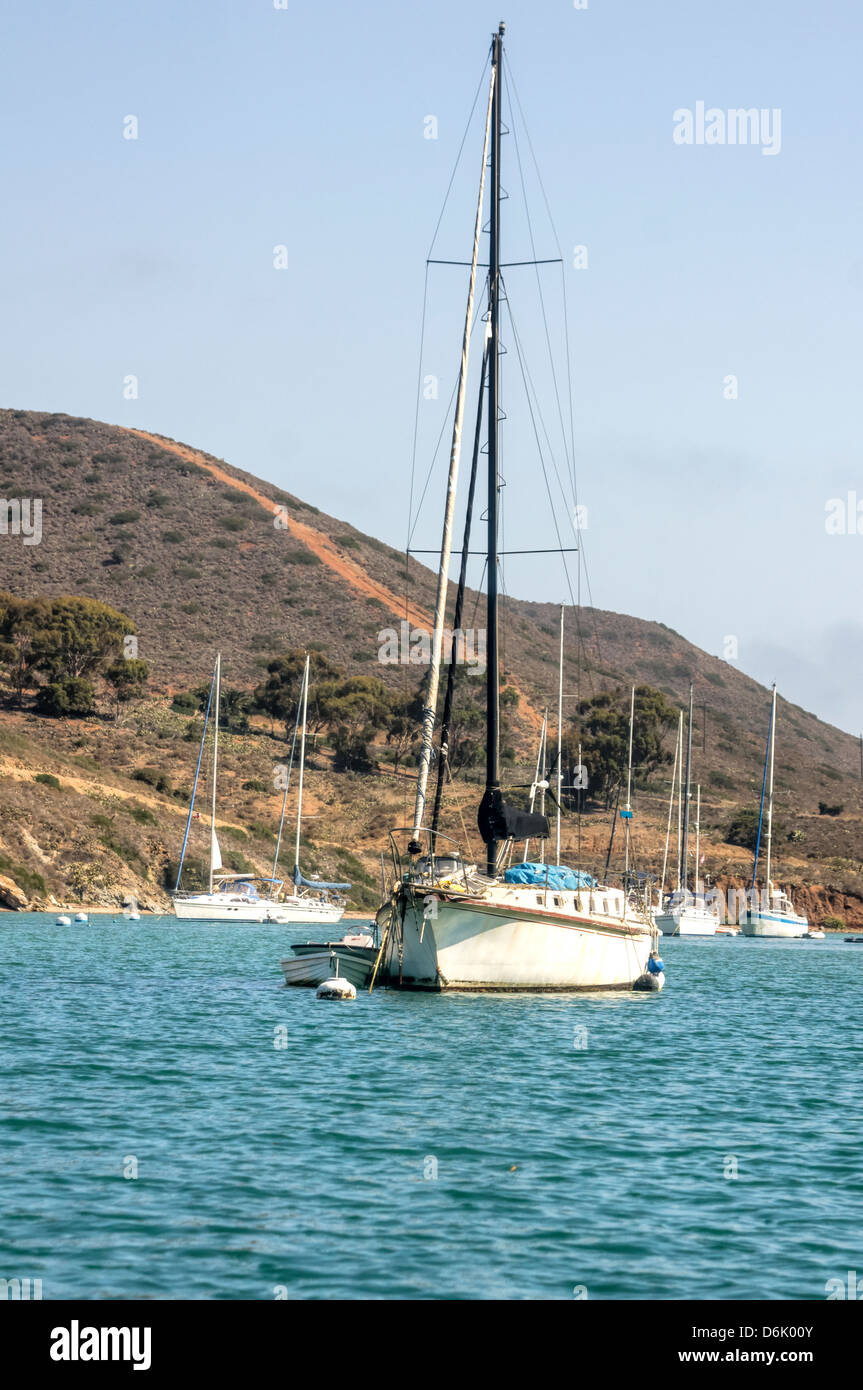 Boats in catalina catalina island hi-res stock photography and images ...