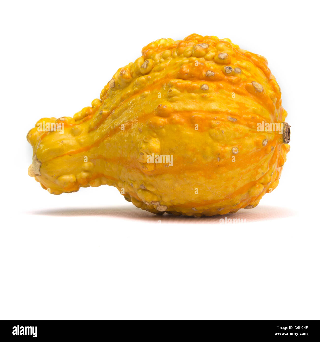 Orange gourd isolated on white background with light shadow Stock Photo ...