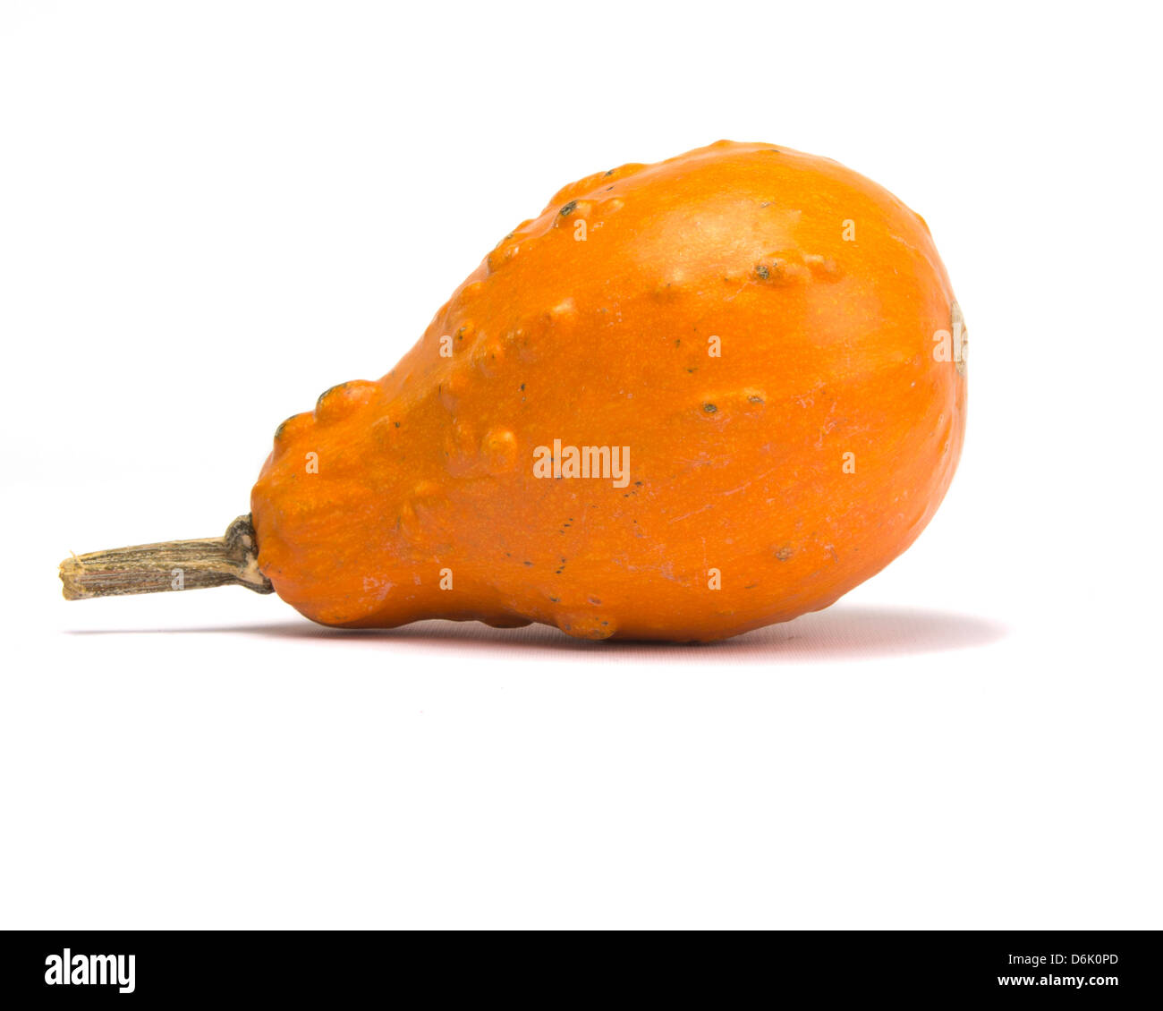 Orange gourd isolated on white background with light shadow Stock Photo ...