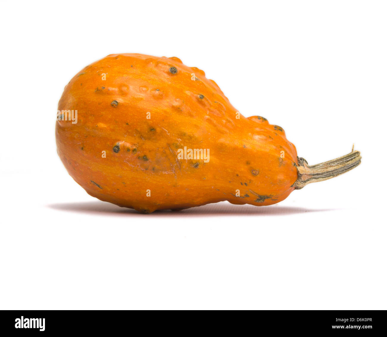 Orange gourd isolated on white background with light shadow Stock Photo ...