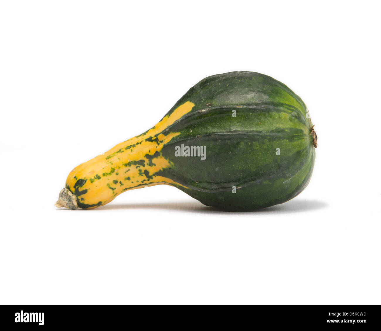 Green and yellow squash isolated on white background with light shadow ...